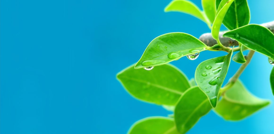 Solarcore Australia - Online Solar Panel Deals and the Best Solar Prices